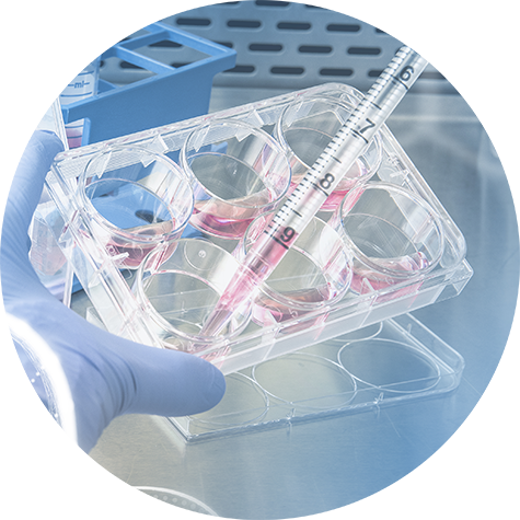 Cáncer de mama - Biopsia | Novartis